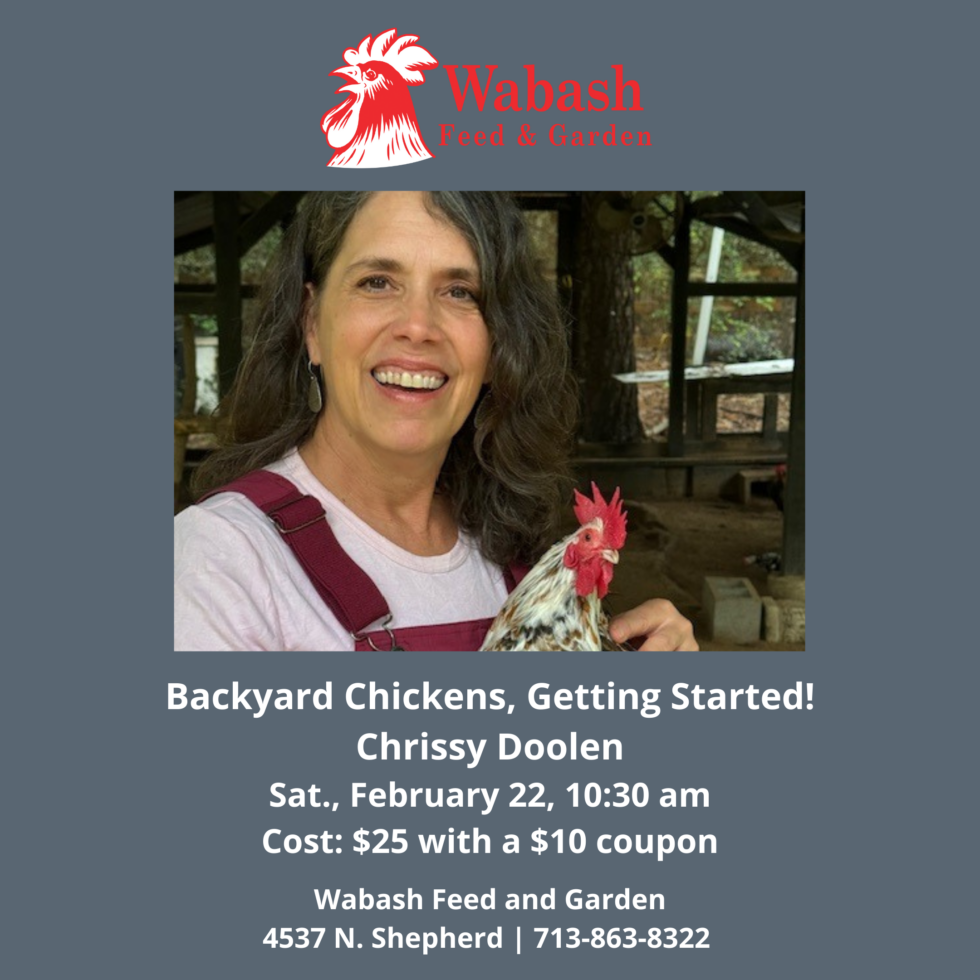 Backyard Chickens Getting Started Wabash Feed Garden