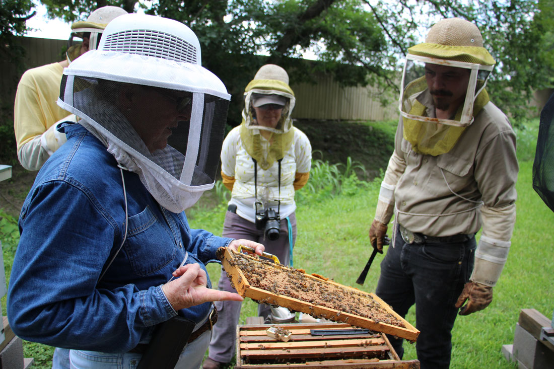 Beekeeping Bee Supplies Store Houston, TX